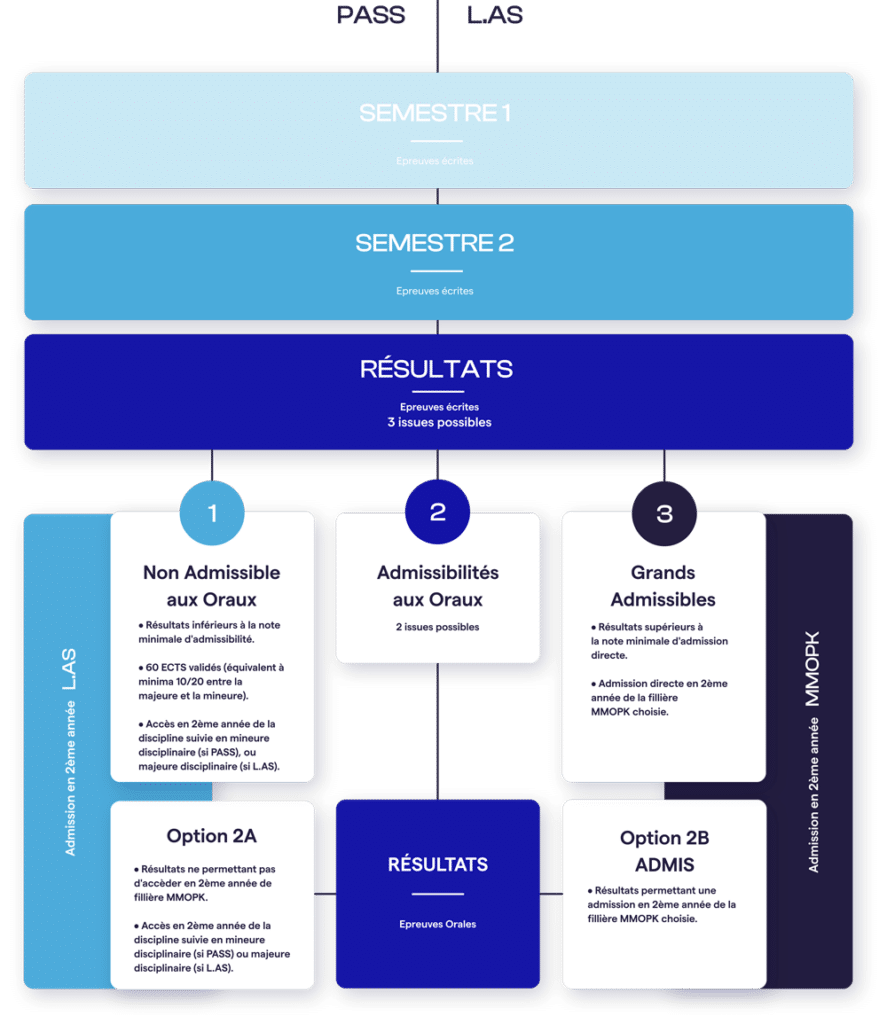 Études de santé - Diploma Santé